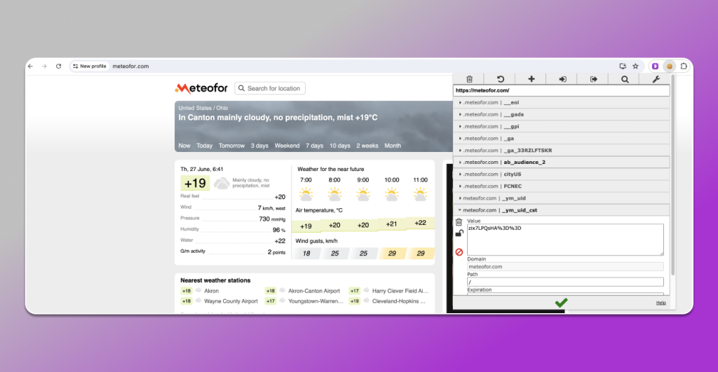How to transfer cookies? Importing and exporting cookies 🍪