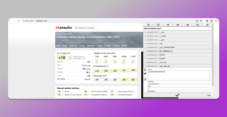 How to transfer cookies? Importing and exporting cookies 🍪