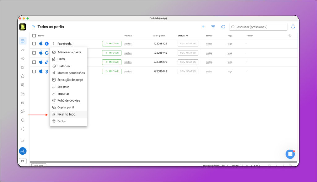 Como Configurar um Perfil de Navegador ⭐️ Dolphin anty