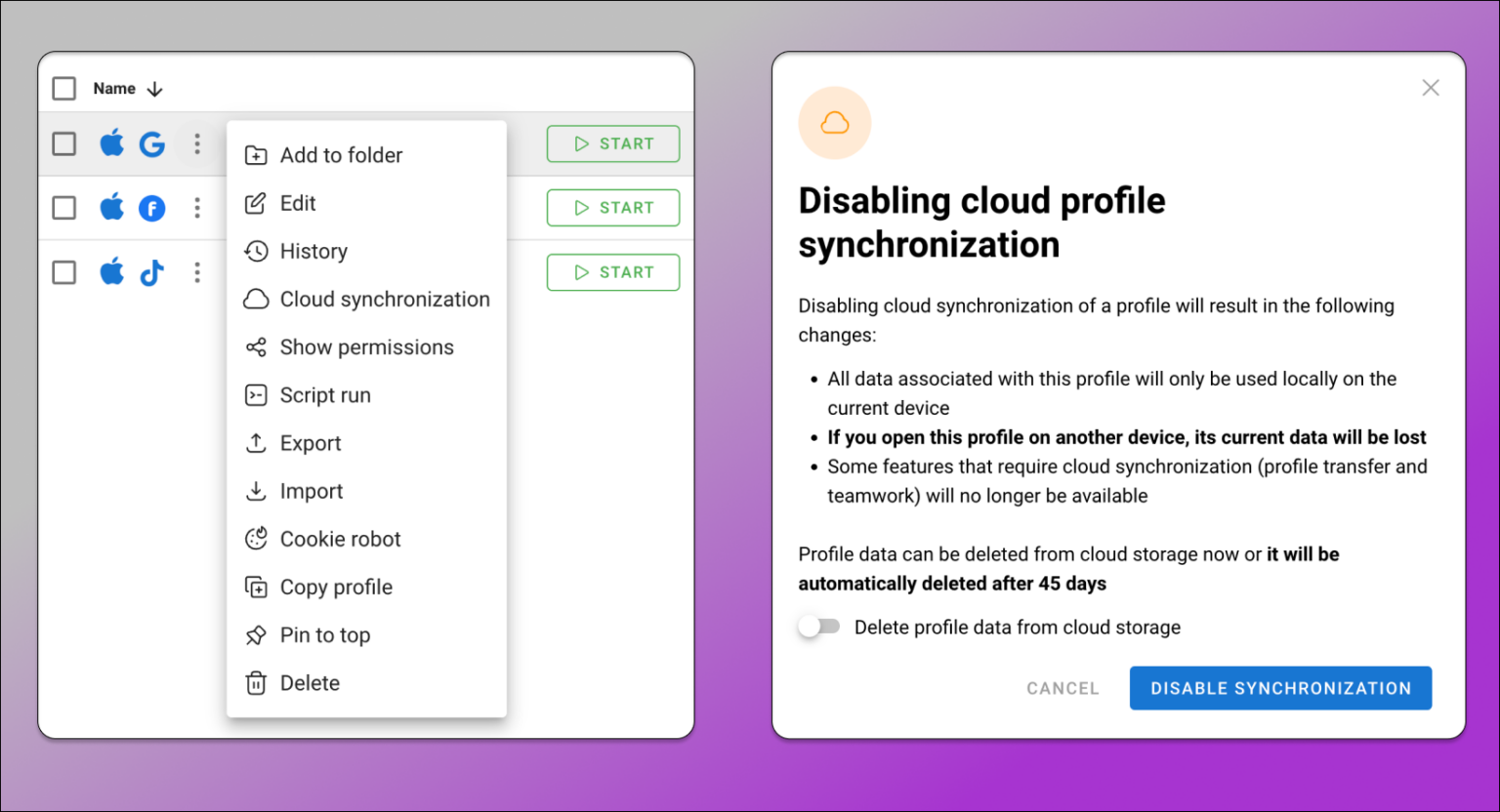 Disabling Cloud Synchronization in Dolphin Anty
